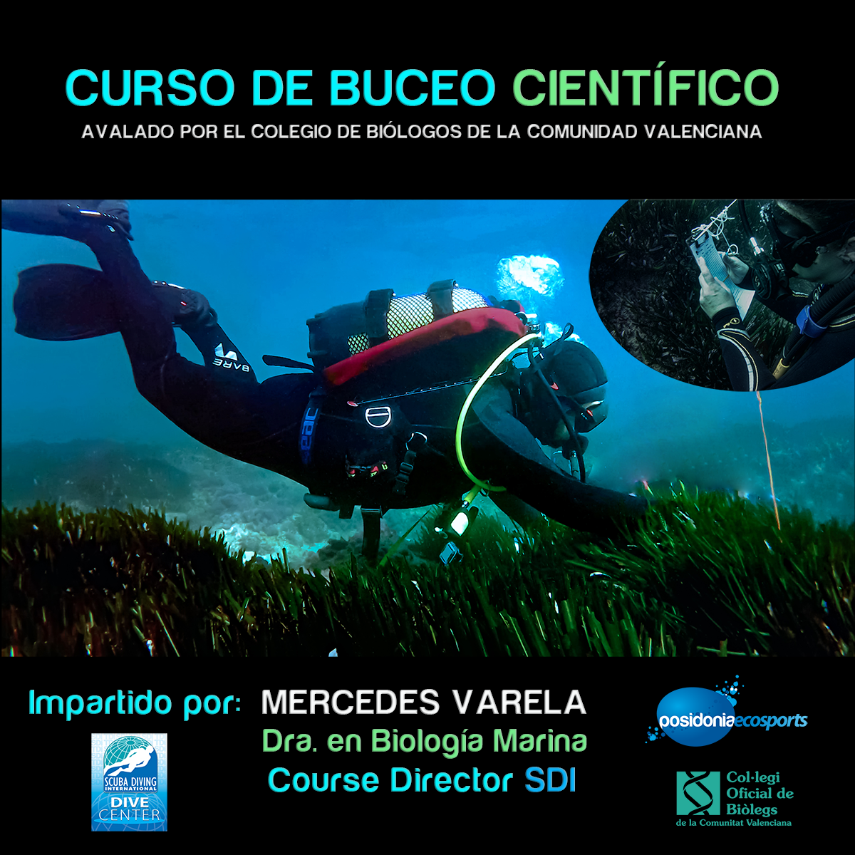 Curso de Buceo Cientifico - Buceo Sostenible con Posidonia EcoSports