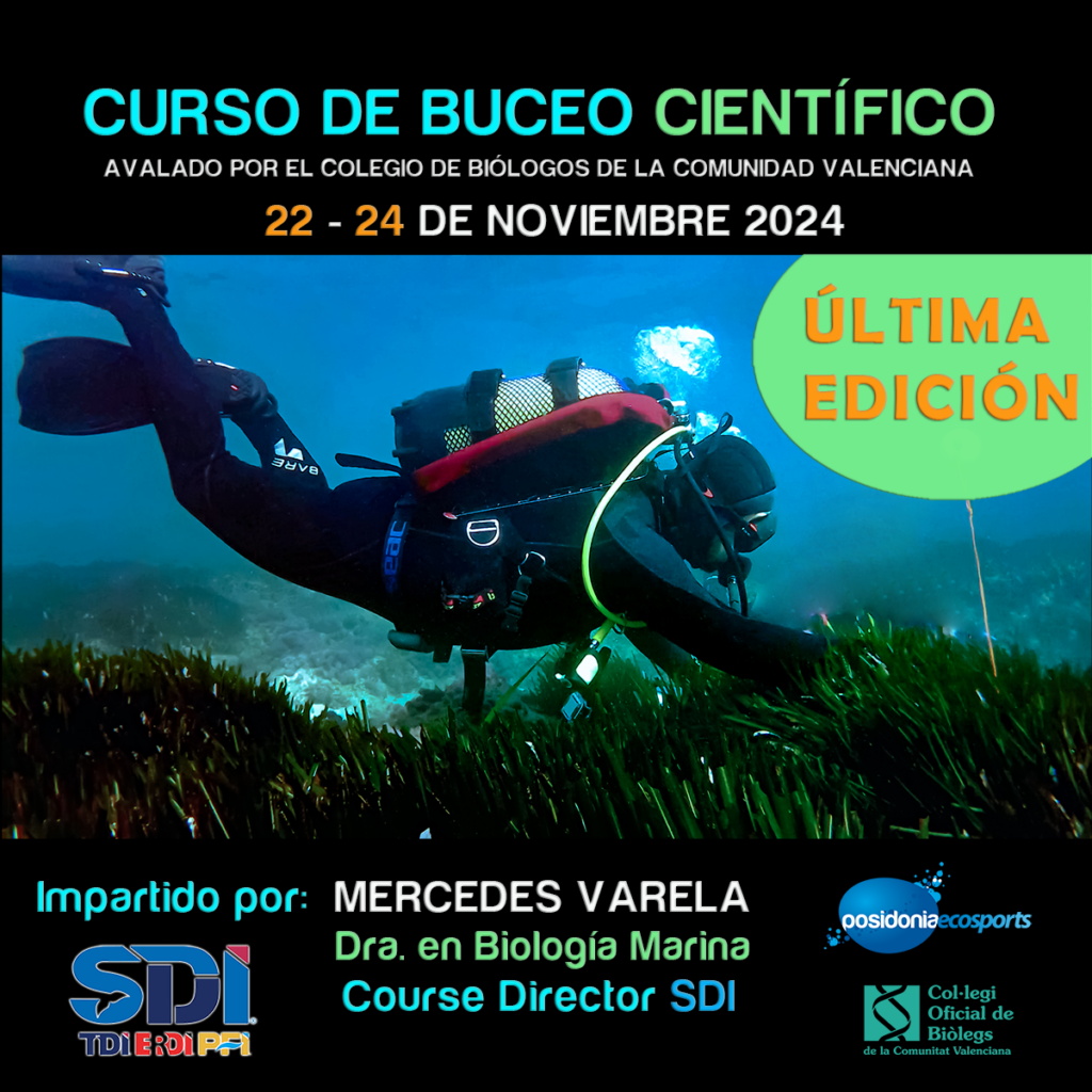 Curso de Buceo Cientifico - Buceo Sostenible con Posidonia EcoSports